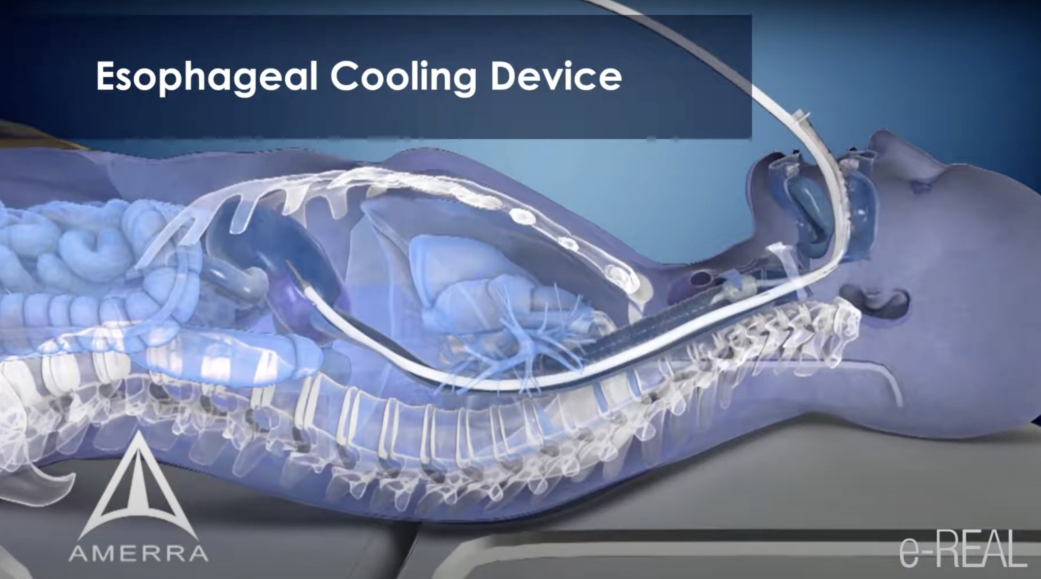 Tutorial medici interattivi - Logosnet